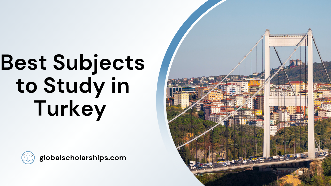 5 Best Subjects to Study in Turkey - Global Scholarships