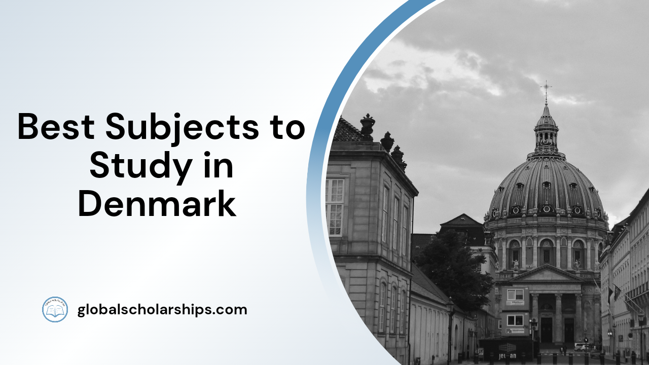 5 Best Subjects to Study in Denmark - Global Scholarships