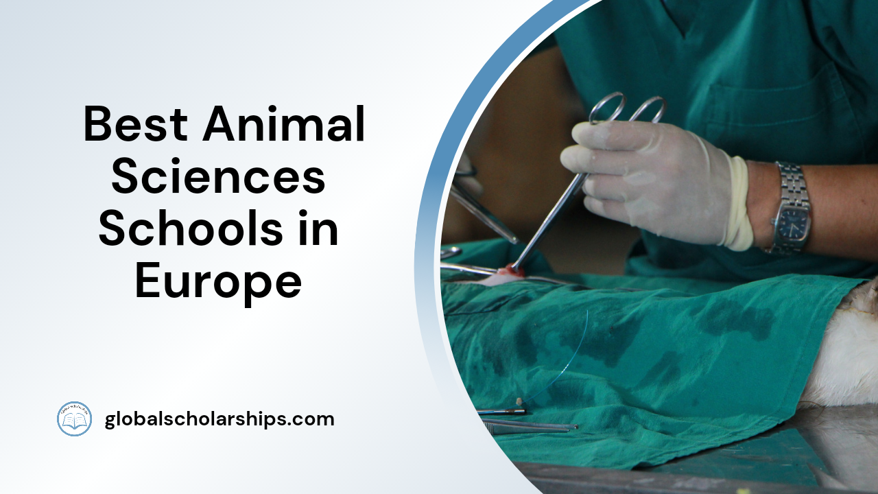 7 Best Animal Sciences Schools in Europe - Global Scholarships