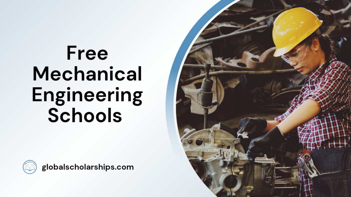 5 Free Software Engineering Schools with No Tuition - Global Scholarships