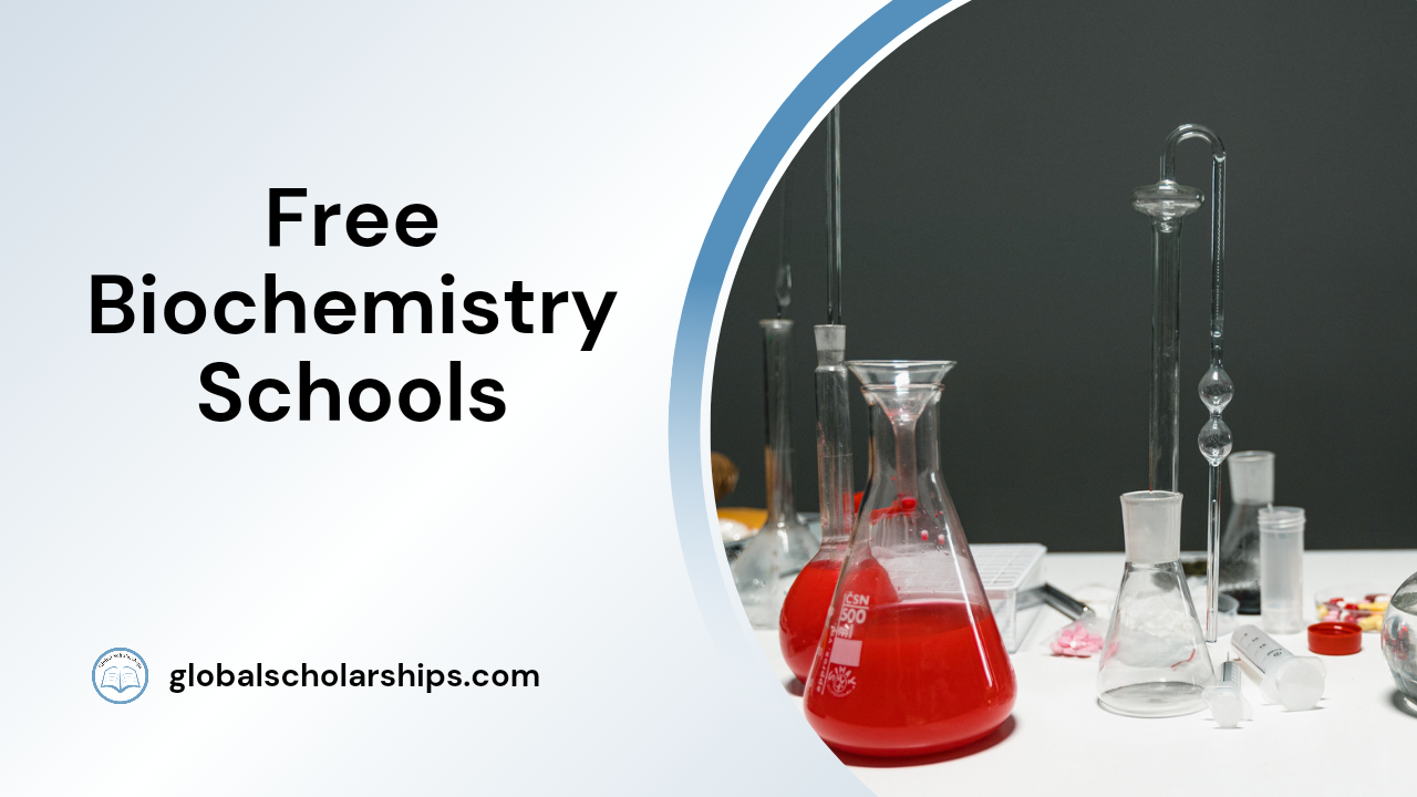 5 Free Biochemistry Schools with No Tuition - Global Scholarships
