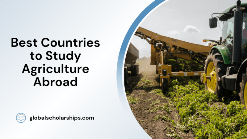 7 Best Countries to Study Hotel Management Abroad - Global Scholarships