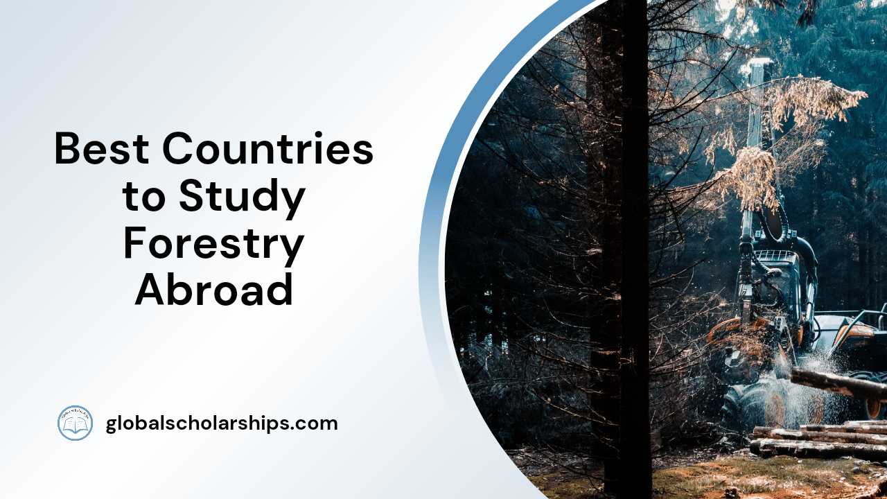 7 Best Countries to Study Forestry Abroad - Global Scholarships