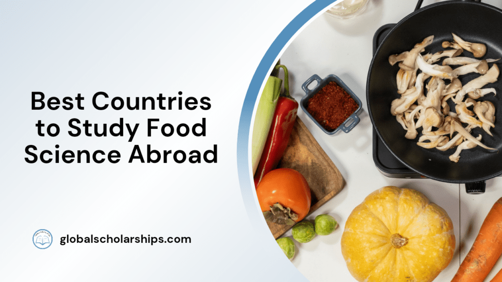 7 Best Countries to Study Mechanical Engineering Abroad