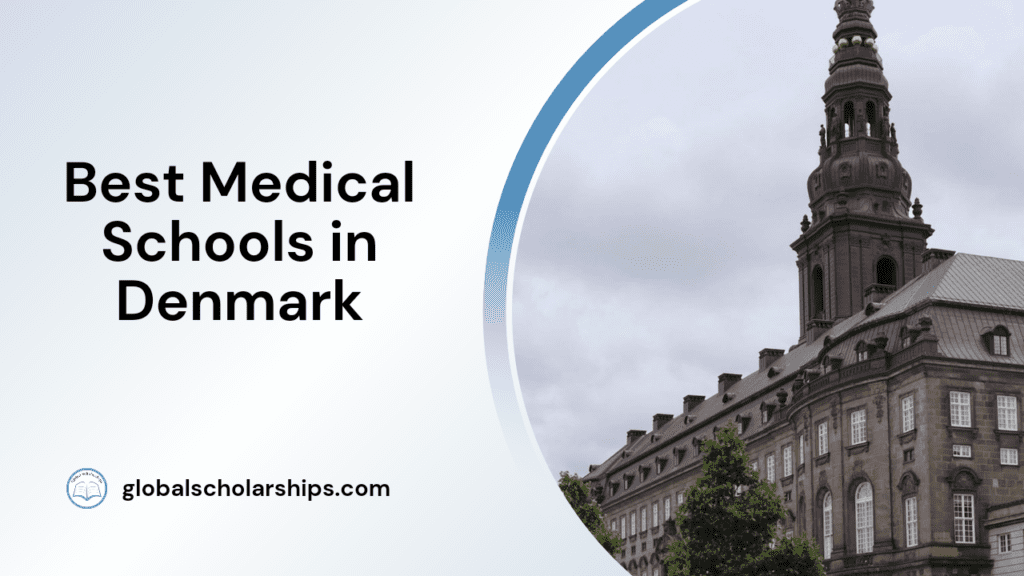 13 Best Medical Schools in France - Global Scholarships