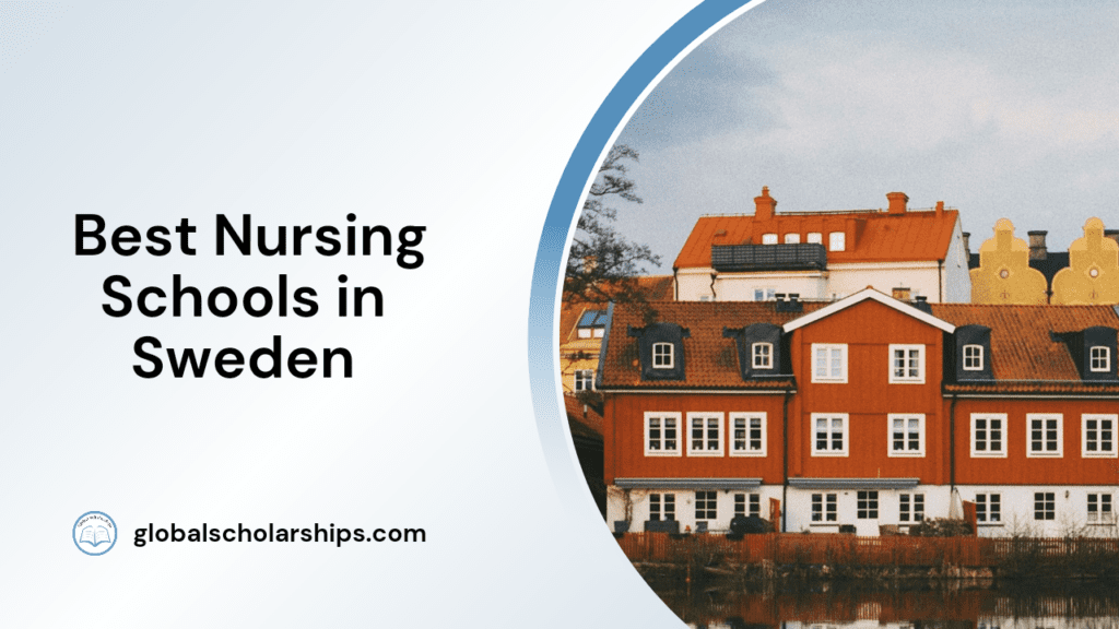 5 Best Nursing Schools in Spain - Global Scholarships
