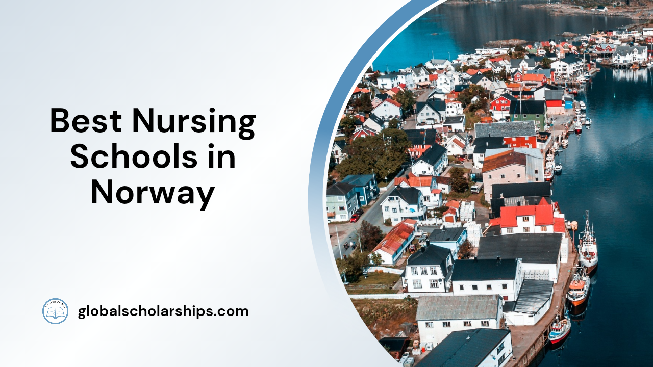4 Best Nursing Schools in Norway - Global Scholarships