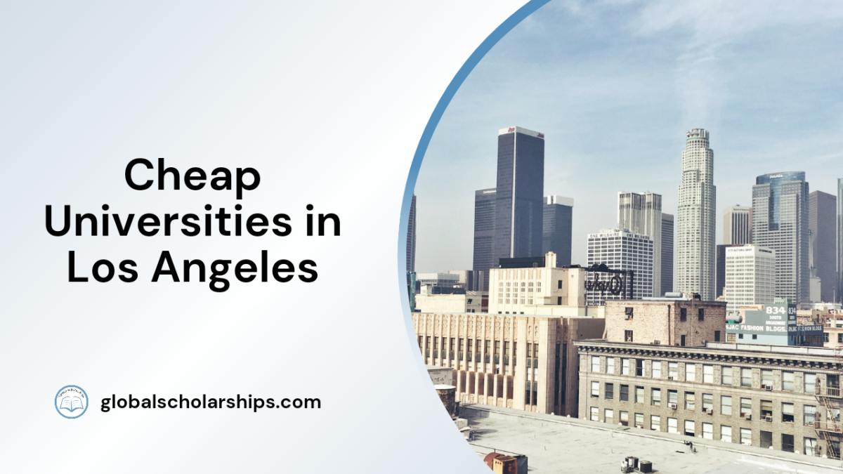 7 Cheap Universities in New York - Global Scholarships