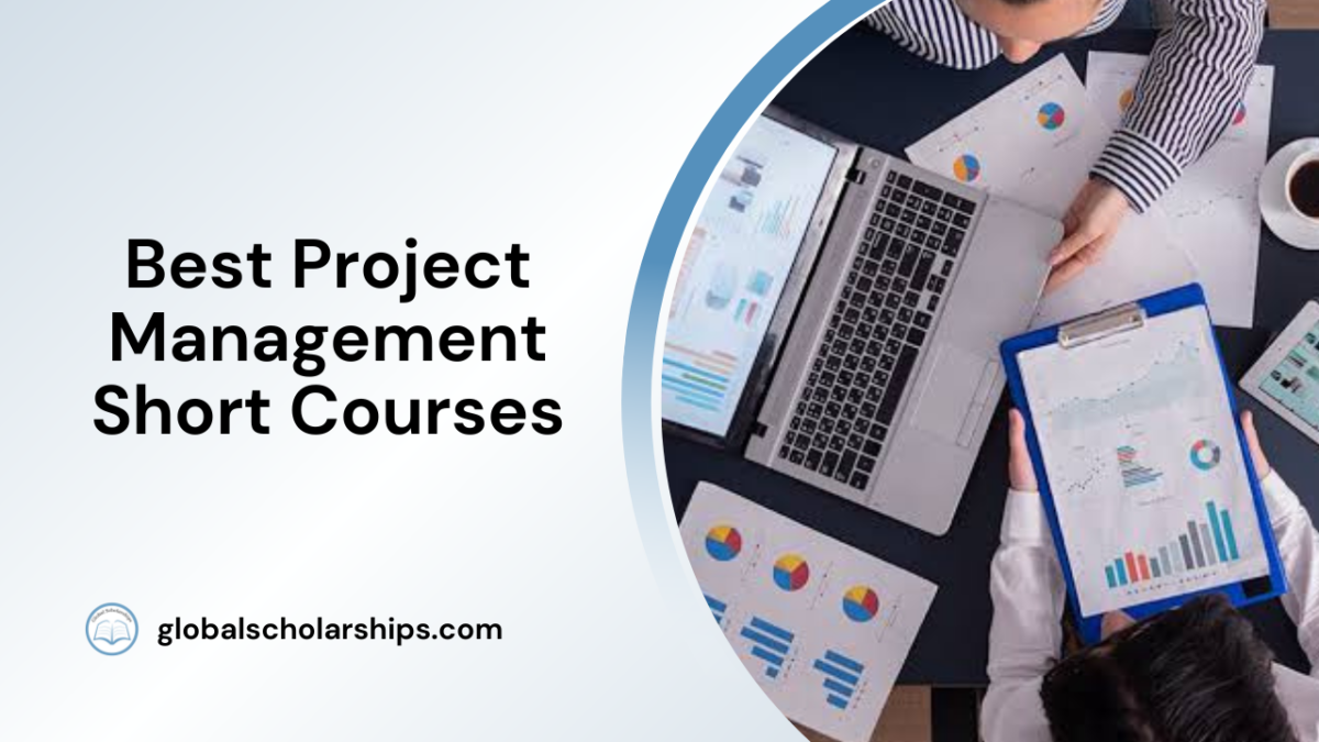 7 Best Finance Short Courses - Global Scholarships