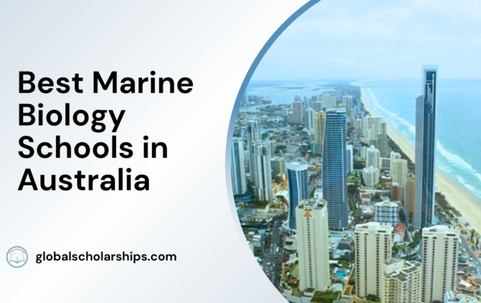 17 Best Marine Biology Schools in the World - Global Scholarships