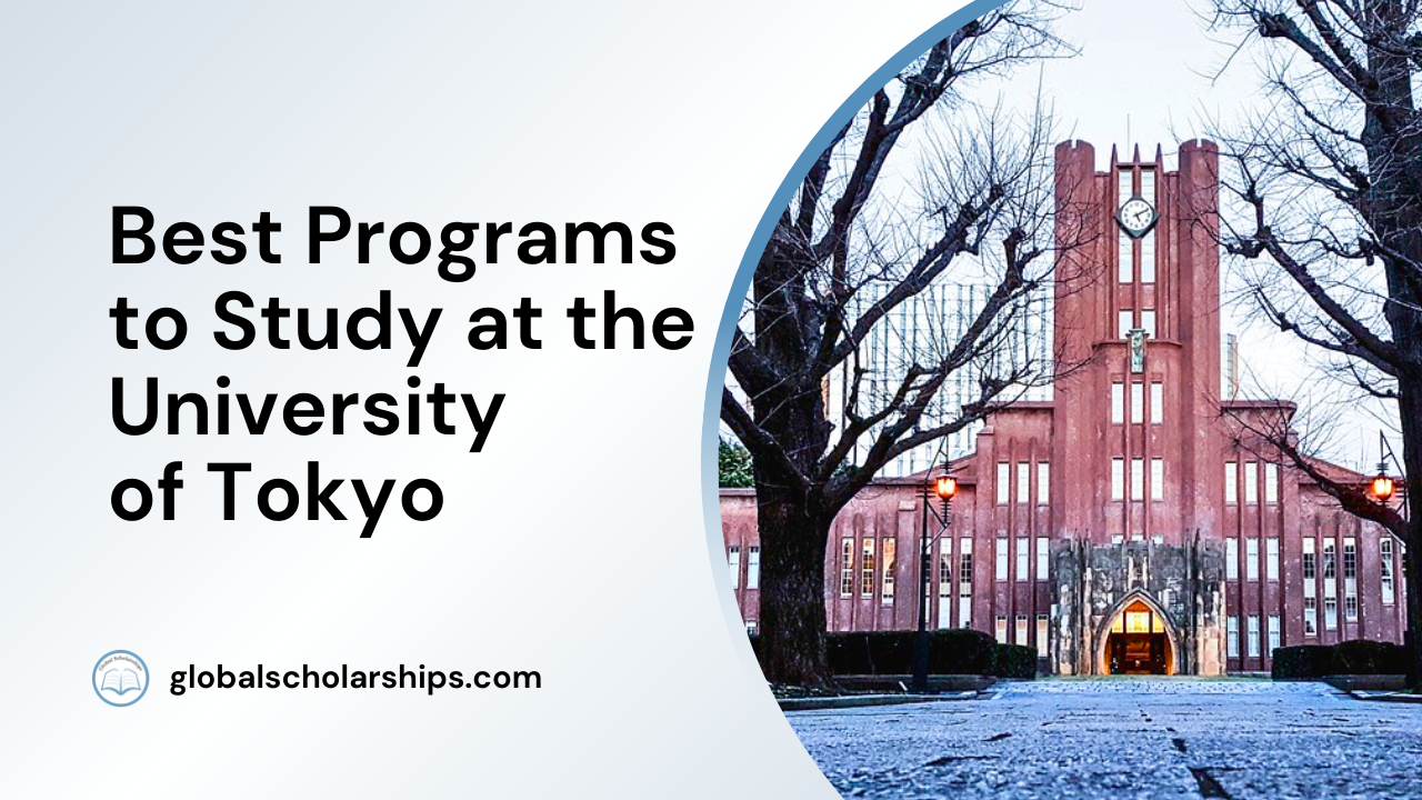 5 Best Programs to Study at the University of Tokyo - Global Scholarships