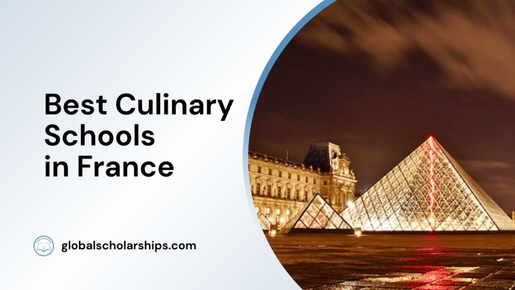 5 Best Culinary Schools in Thailand - Global Scholarships