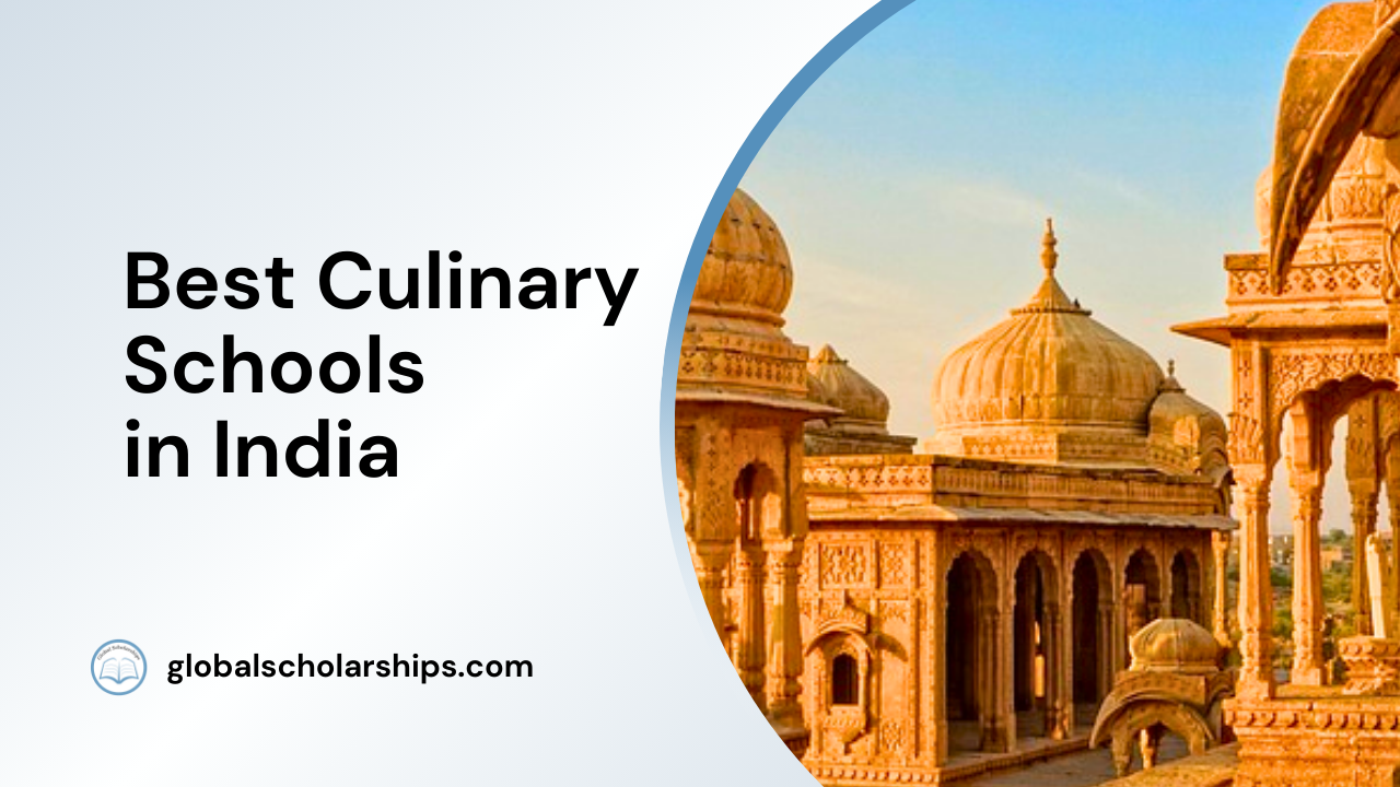 5 Best Culinary Schools in India - Global Scholarships