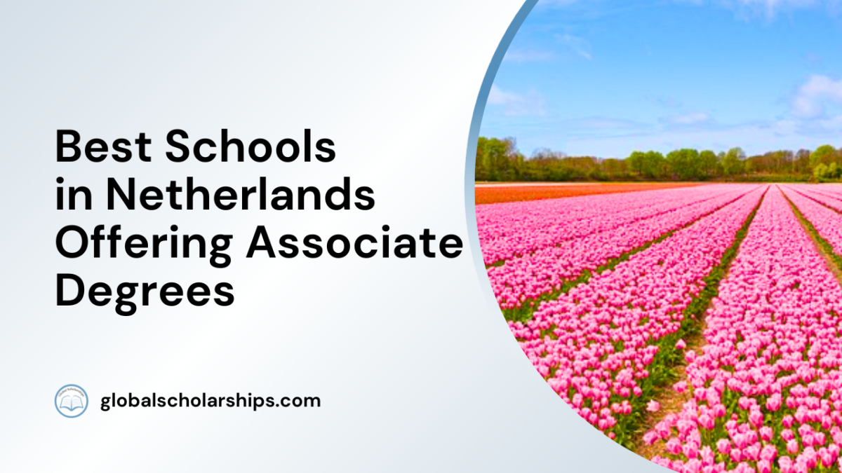 15 Best Schools Offering Associate Degrees in the USA - Global Scholarships