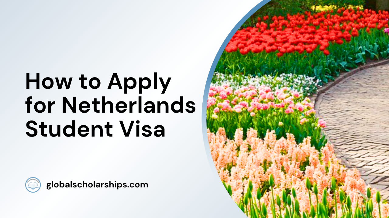 How to Get a Student Visa for the Netherlands (6 Steps) - Global ...