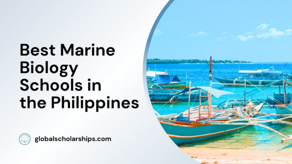 5 Best Marine Biology Schools in China - Global Scholarships