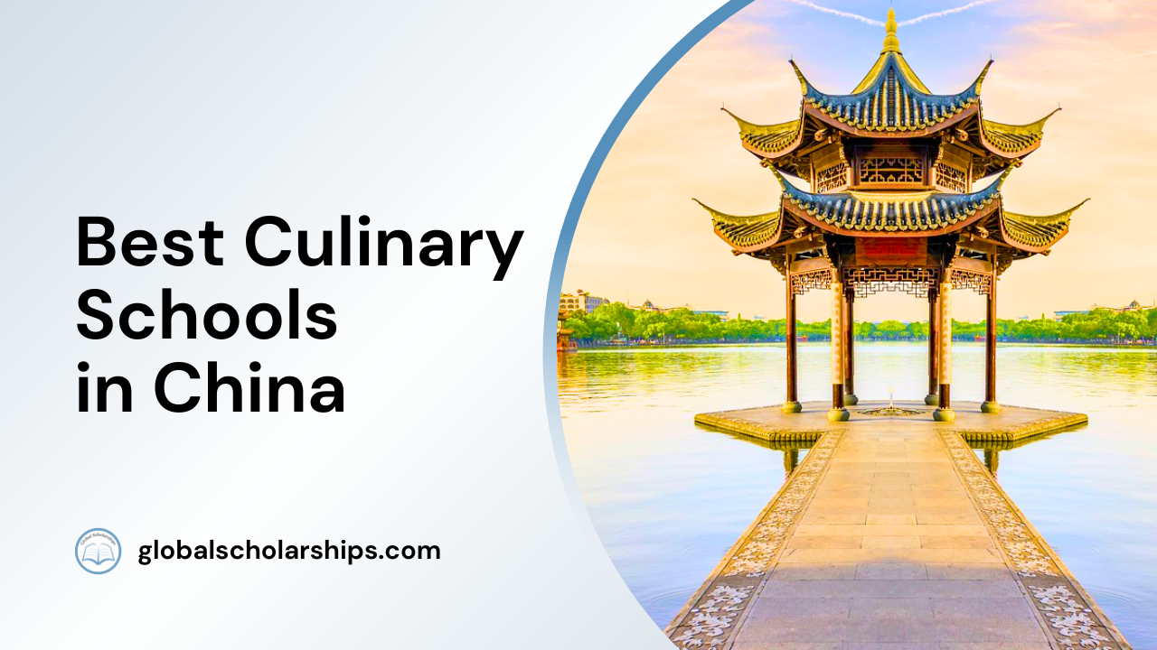 5 Best Culinary Schools in China