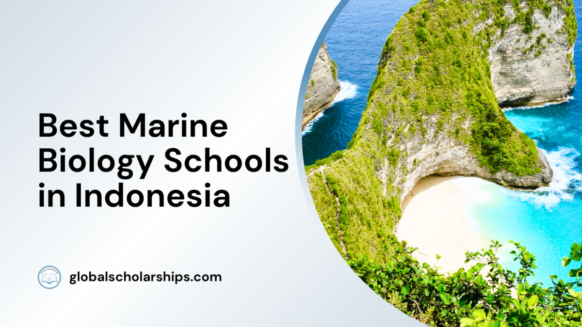 5 Best Marine Biology Schools in the USA - Global Scholarships