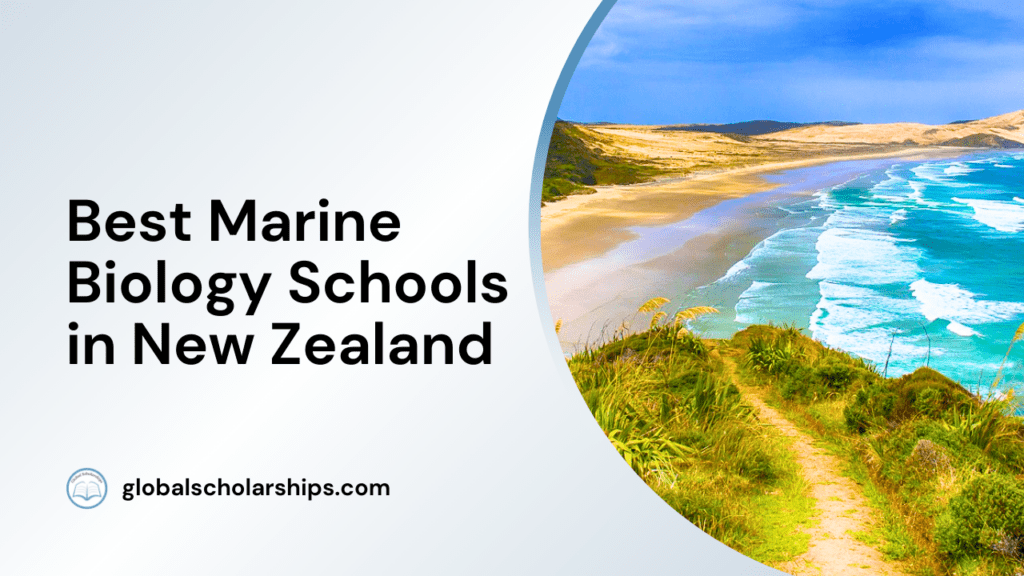 4 Best Marine Biology Schools in France - Global Scholarships