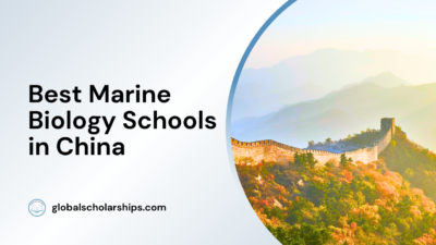 4 Best Marine Biology Schools in France - Global Scholarships