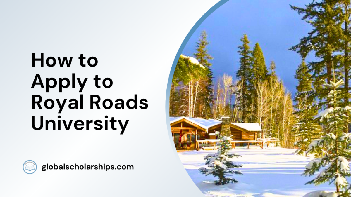 How to Get Into Harvard University (Graduate): Application Process and ...