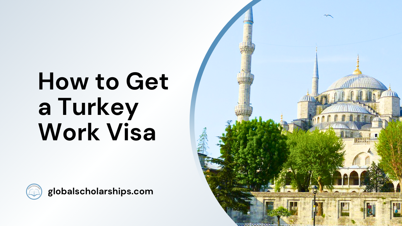 How to Get a Turkish Work Visa (6 Steps) - Global Scholarships