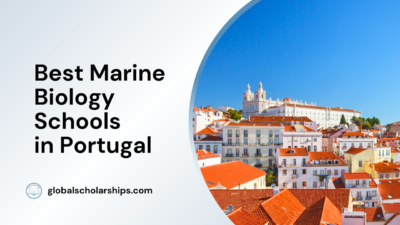 8 Best Marine Biology Schools in Japan - Global Scholarships