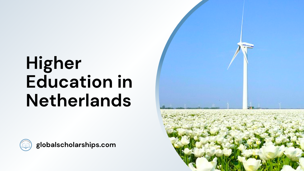 Higher Education in Netherlands - Global Scholarships